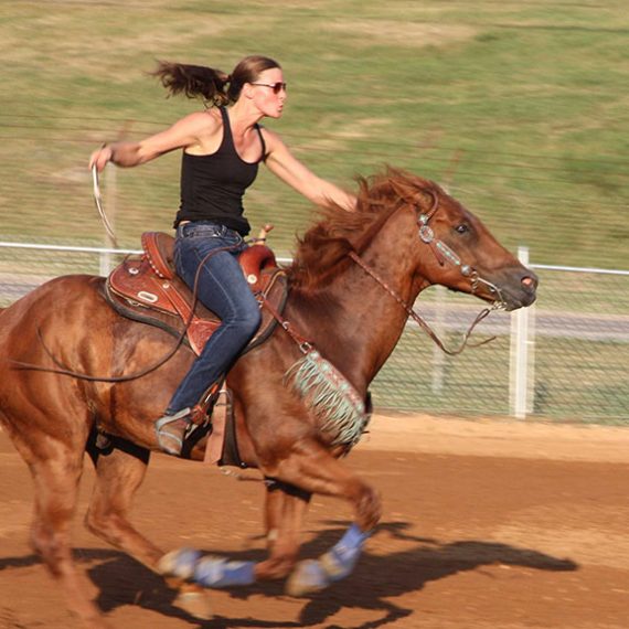 Photos - Anderson County Fair